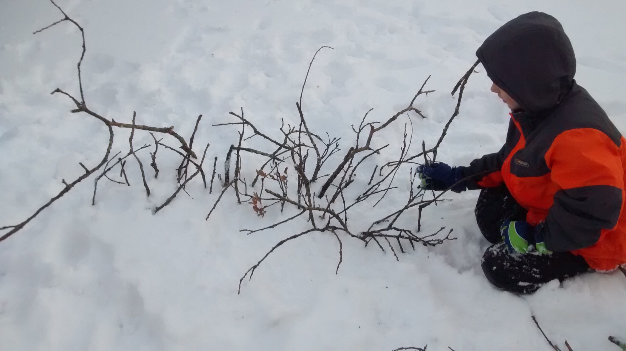 Stick Forests – Wonderschooling