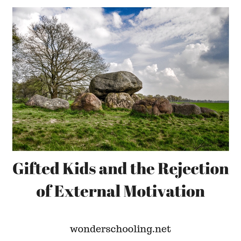 Gifted Kids and the Rejection of External Motivation – Wonderschooling